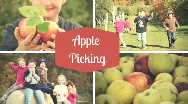 Apple Love - 100 Ways to Enjoy an Apple - Family Style Schooling