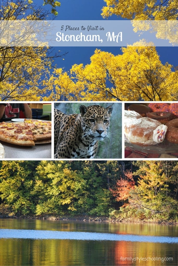 Top 5 Places to Visit in Stoneham, MA - Family Style Schooling