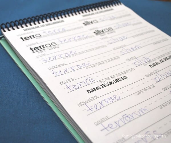 Latin Nouns Declension Free Printable - Family Style Schooling