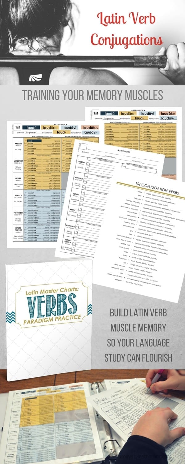 Latin Declensions & Conjugations Mastery Charts - Family Style Schooling