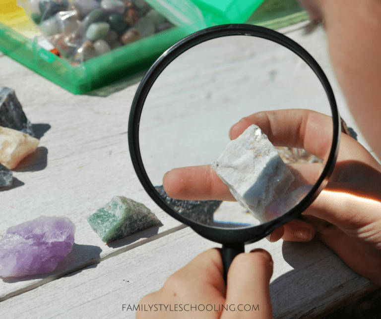 Investigate Nature: Hands-On Learning Stations - Family Style Schooling