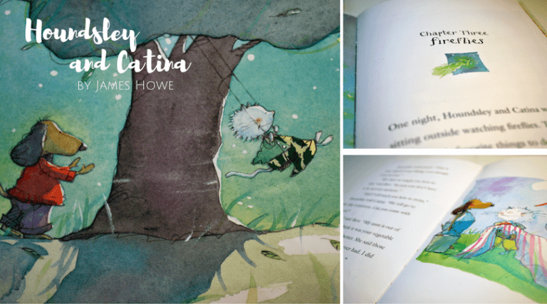 20 Terrific Book Series to Engage Beginner Readers