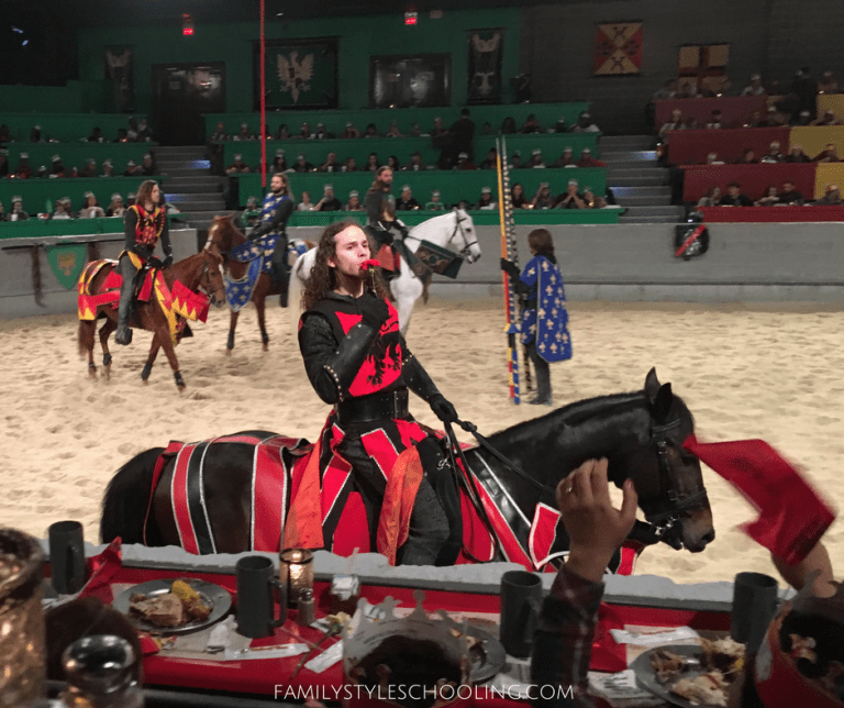 Medieval Times Dallas Review - Family Style Schooling