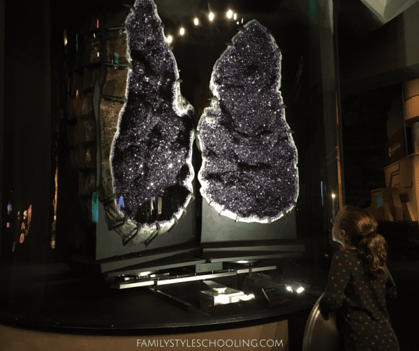 Fall Family Fun at the Perot Museum in Dallas - Family Style Schooling