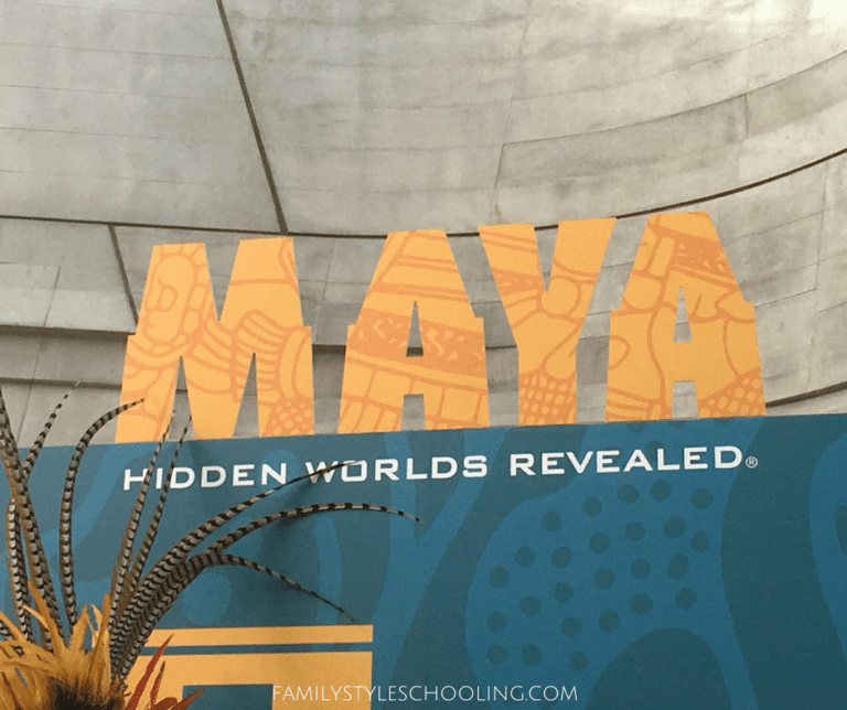 Maya: Hidden Worlds Revealed at the Perot - Family Style Schooling
