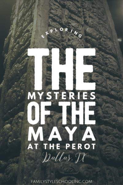 Maya: Hidden Worlds Revealed at the Perot - Family Style Schooling