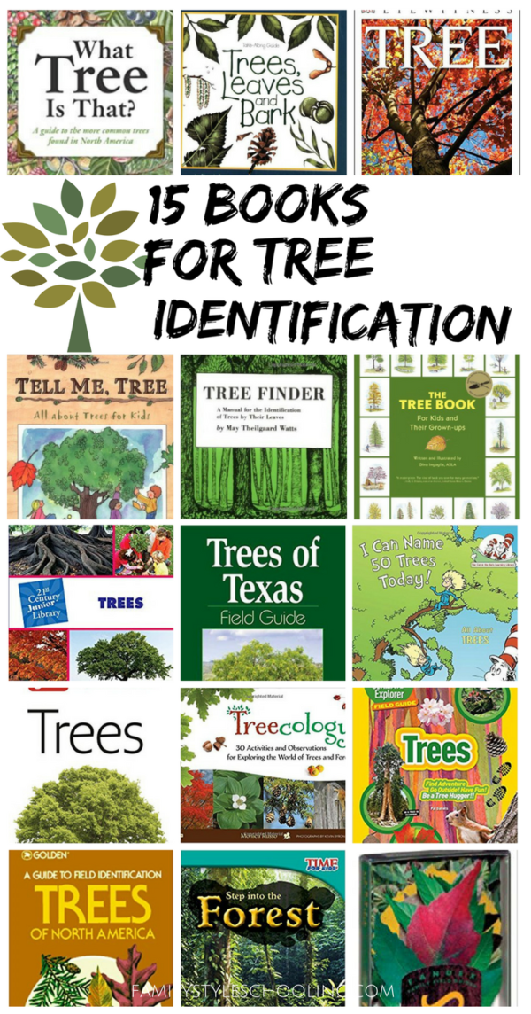 50 Inspiring Books to Make Arbor Day Celebrations Fun - Family Style ...
