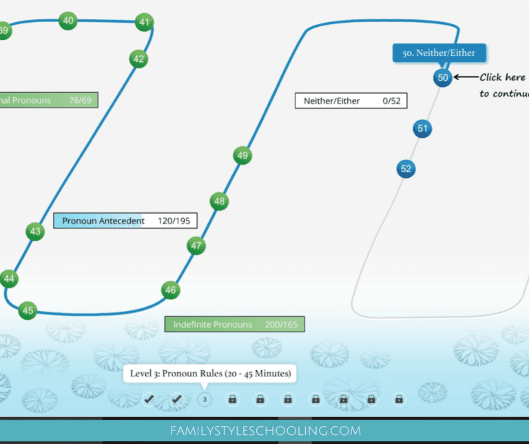 Give Your Teen a Grammar Boost with Learn With Diagrams - Family Style ...