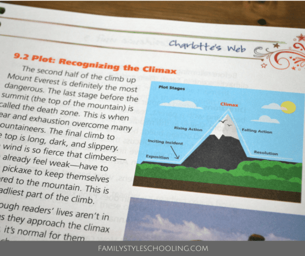 Homeschool Reading Curriculum that Fosters a Love of Literature