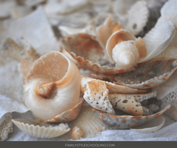 Navarre Beach - Florida's Most Relaxing Place - Family Style Schooling