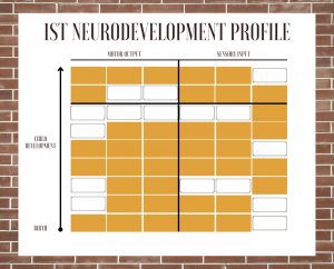 How a Neurodevelopmental Plan can Help with Learning Struggles