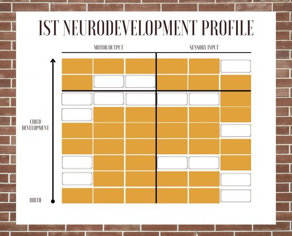 How a Neurodevelopmental Plan can Help with Learning Struggles