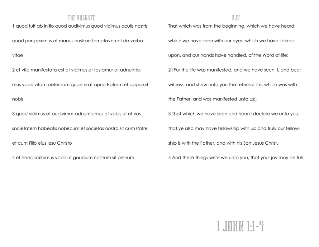 1 John Latin Workbook - Family Style Schooling