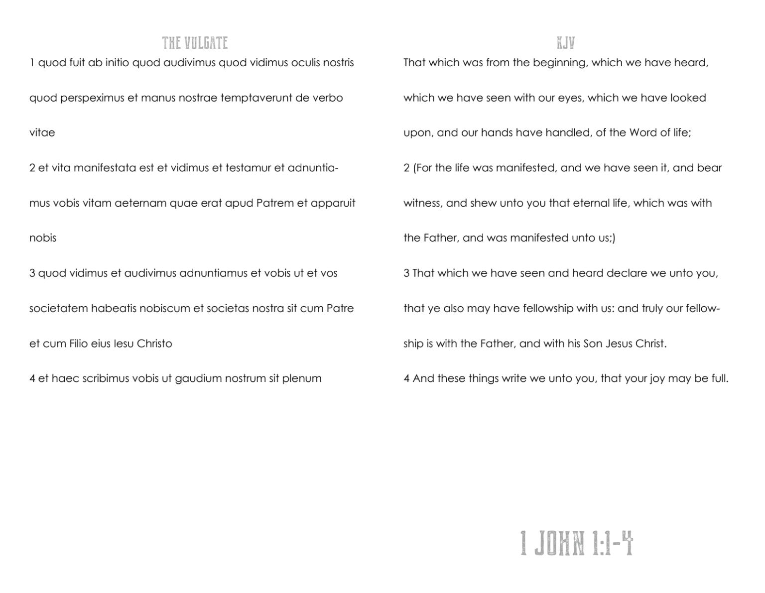 1 John Latin Workbook - Family Style Schooling