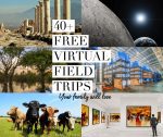 40+ Free Virtual Field Trips Your Family Will Love - Family Style Schooling
